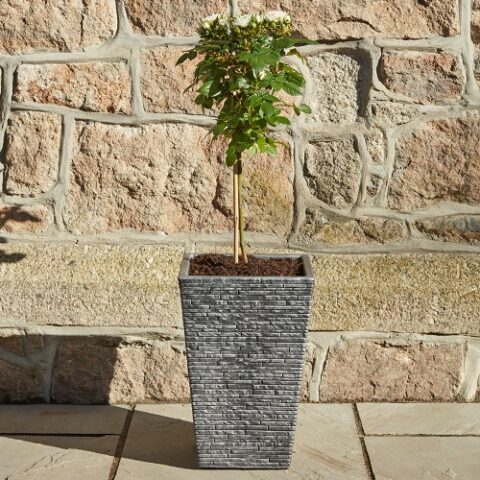 Tall Slate Planter | Strata Products Limited